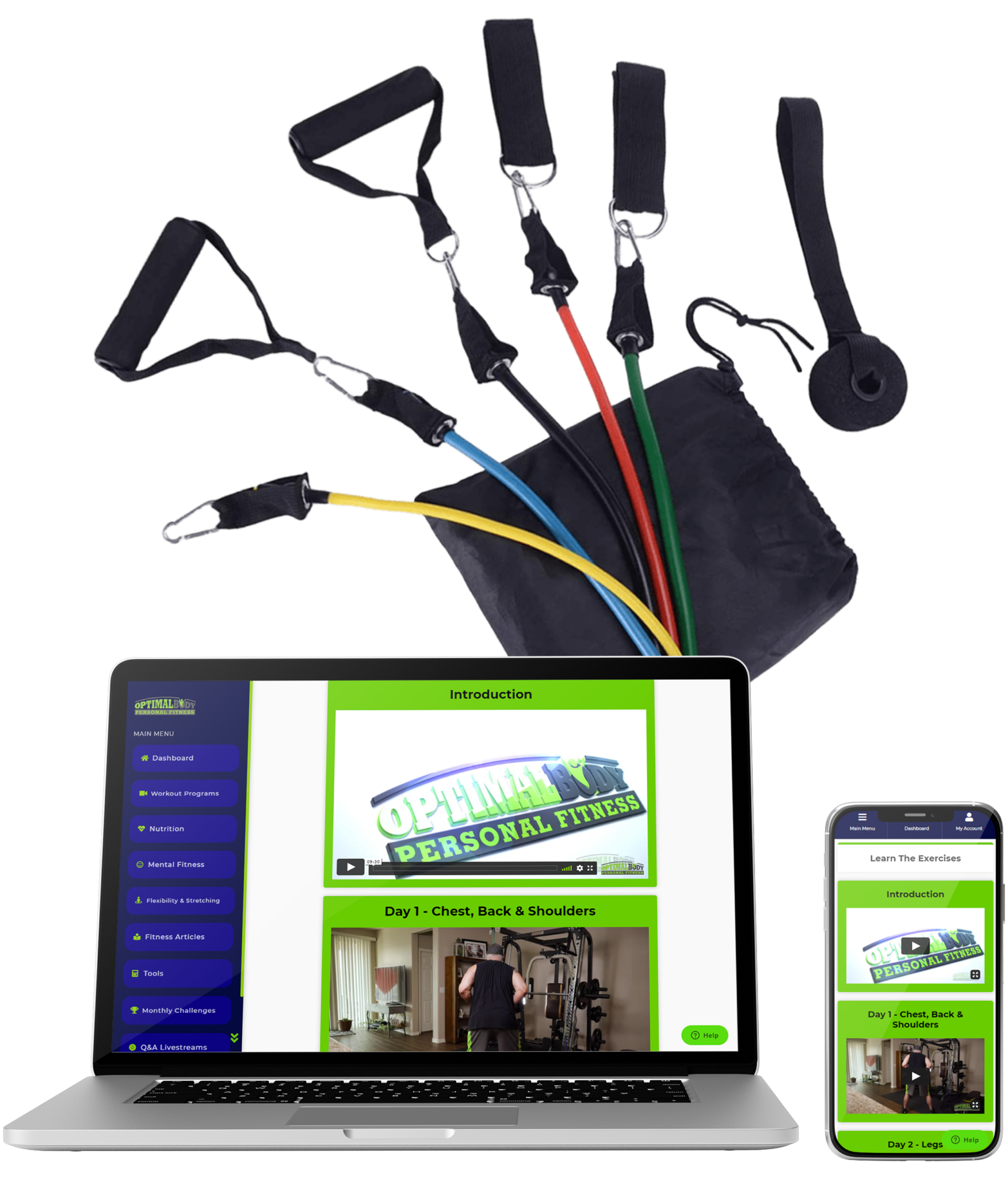 David Lyons' OptimalBody Personal Fitness - Fitness for Multiple Sclerosis